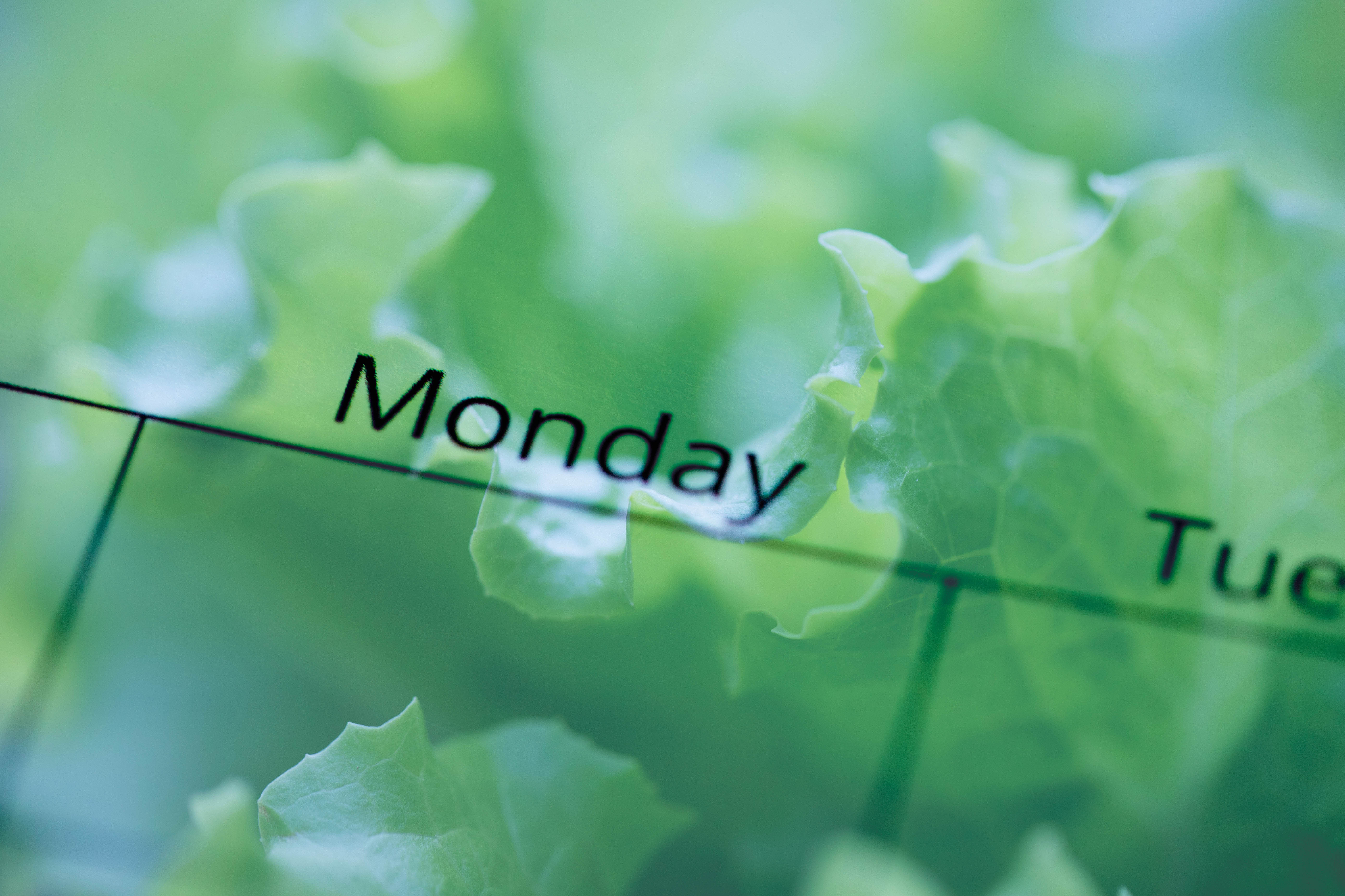 “Meatless Monday” is two-thirds there, once a week – Vegan Practically