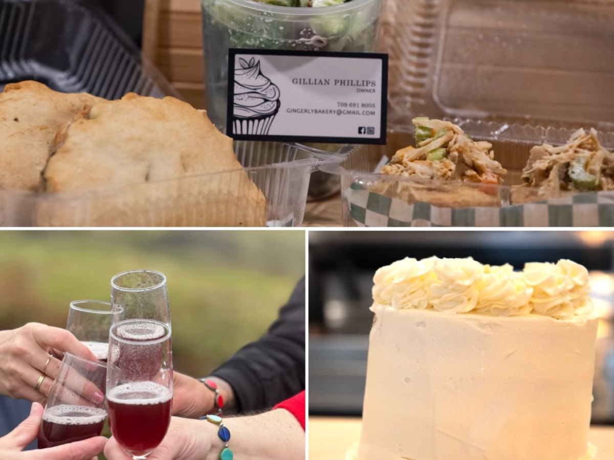 The Blog Vegan Practically