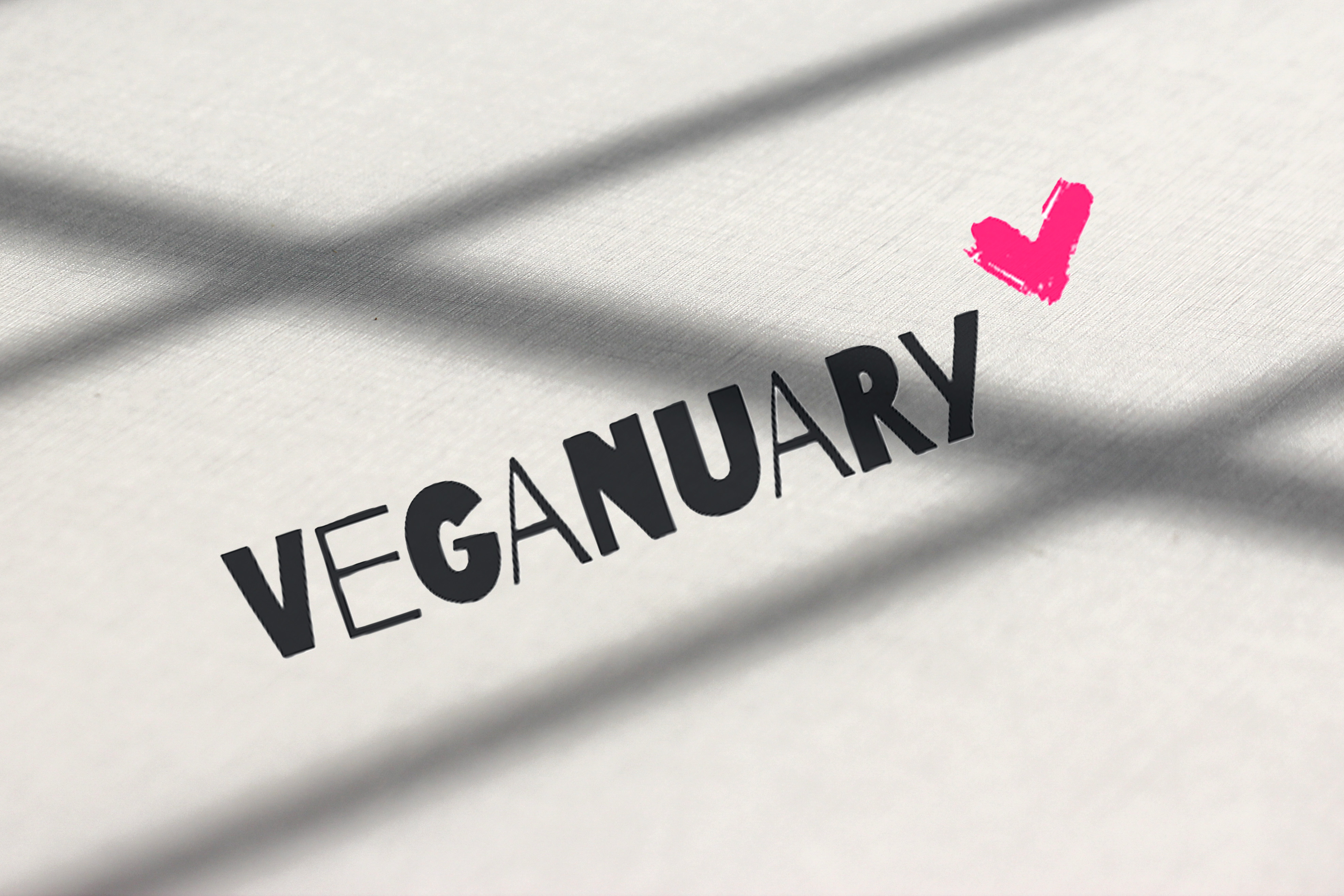Jump into Veganuary – Vegan Practically